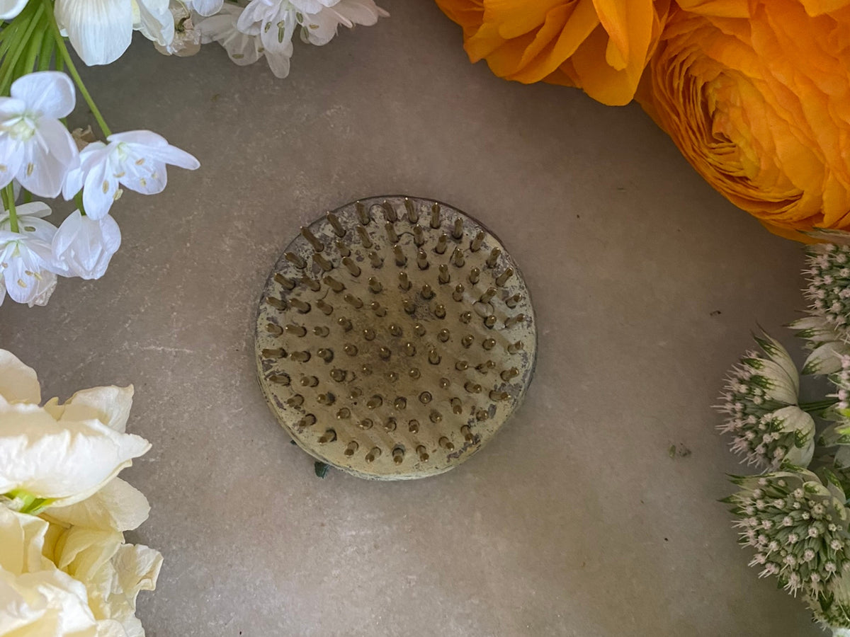 Frogs & Flowers – The Cambridge Flower School